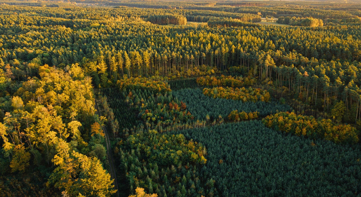 Innovating Sustainable Packaging Solutions - Choose EPE USA Today